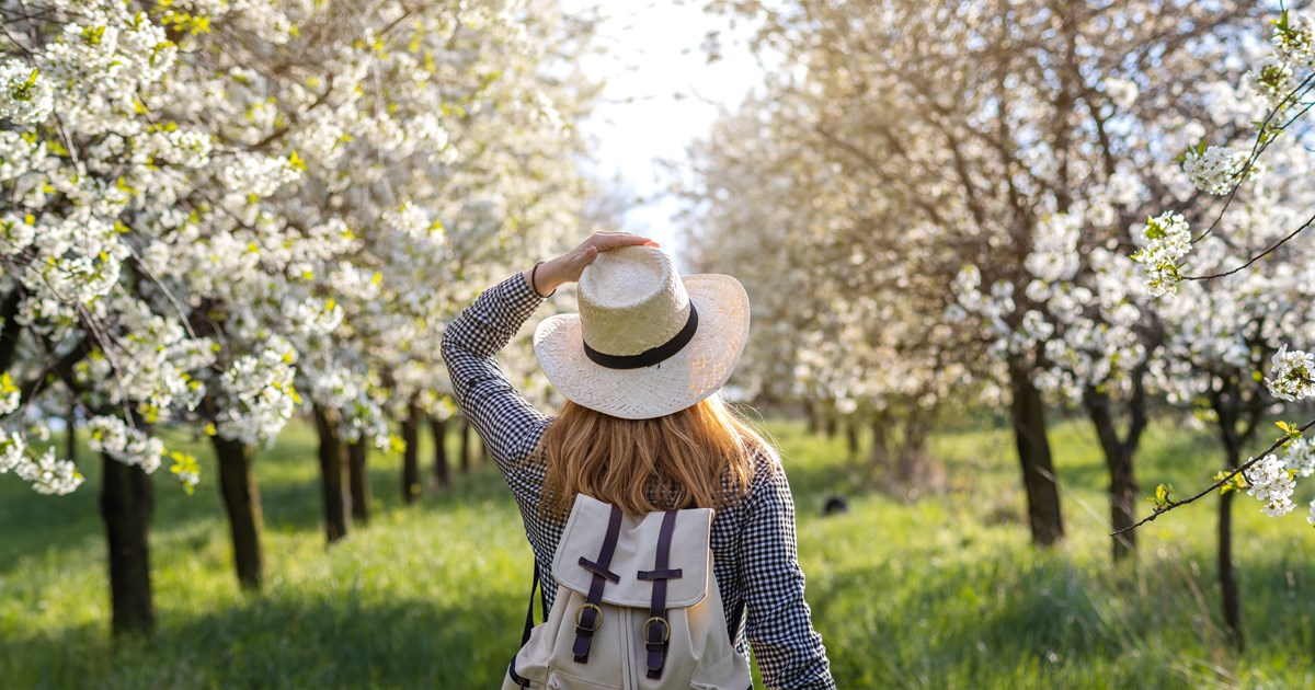 2022 Spring Budget & Spending Review | NFP